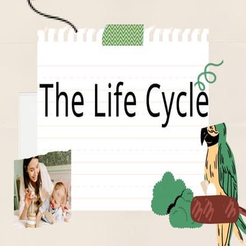 Human-life-cycle-powerpoint.ppt free download | PPT