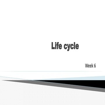 The strategy life cycle is ongoing feedback from evaluation leads back ...