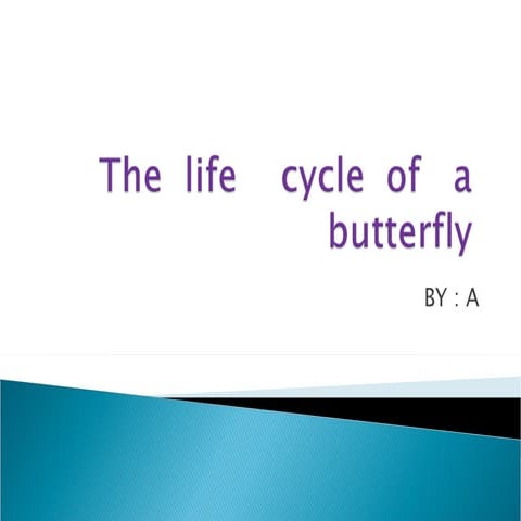Life Cycle Student A | PPT