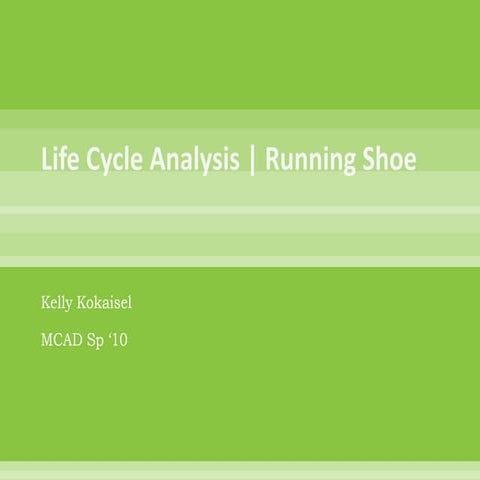 Life Cycle Analysis of a Running Shoe | PDF