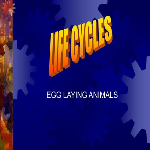 life cycle egg laying animals (1).ppt