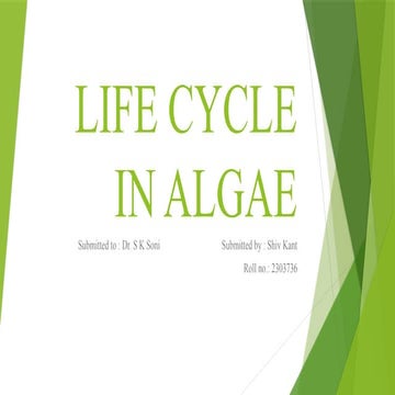 Life cycle of algae | PPTX