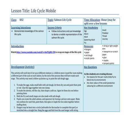Life cycle introduction lesson plan | DOCX