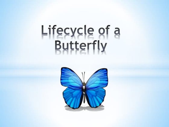 The life cycle of a butterfly bad example | PPTX | Food & Drink