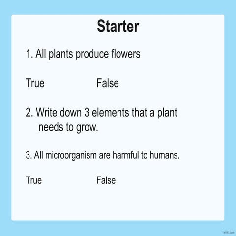 The stages of a flowering plant life cycle | PPT