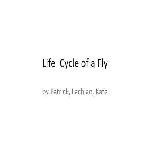 Life cycle of a fly p k l | PPSX