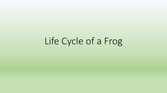 The Life cycle of frog | PPT