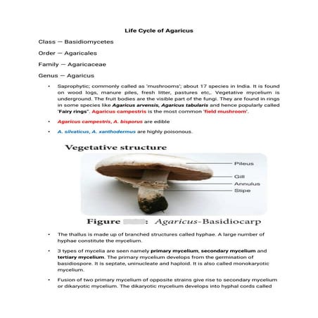Allomyces classification,Introduction,Life Cycle.pdf