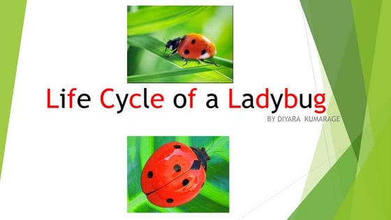 The Life cycle of frog | PPT