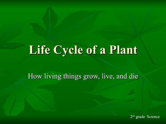 Plants life cycle | PPT
