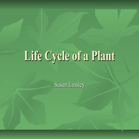Life cycle of a plant pp1 | PPT