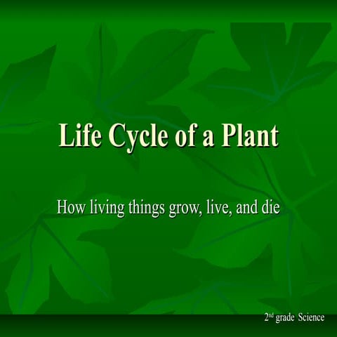 Life cycle of a plant (science) | PPT