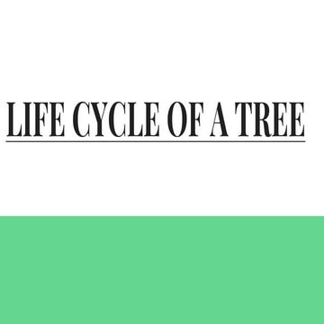 Life cycle of a tree | PPTX