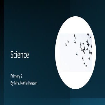 lesson 1 life cycle of birds science primary 2 | PPTX
