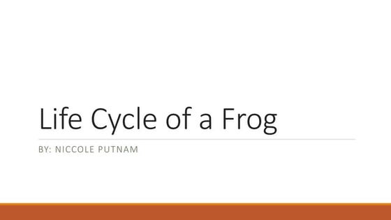The Life cycle of frog | PPT