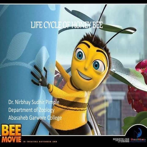 Life cycle of honey bee | PPTX