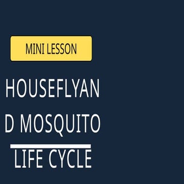 Life cycle of Housefly and Mosquito - SC.pptx