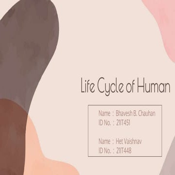 The human life cycle | PPT