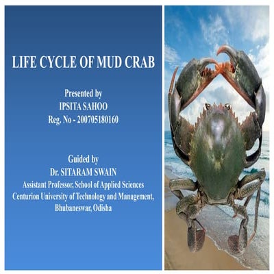 Reproductive biology and life cycle of crabs | PPT