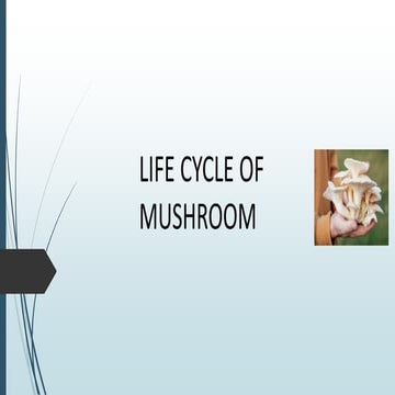 lifecycleofmushroomppt-230306051625-2fe06a45.pptx