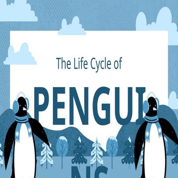 Life Cycle of Penguin Lesson Slides..pptx