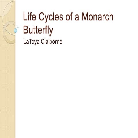 Monarch Butterfly Presentation and Lesson | PDF