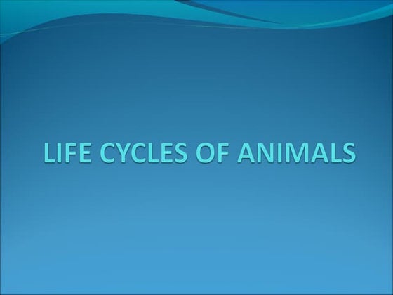 Classification of animals | PPT