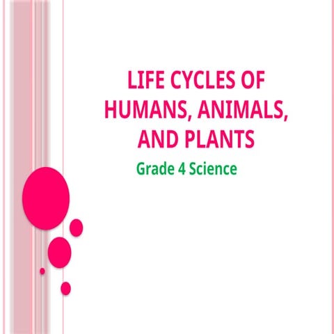 Life Cycles of Humans and Animals Presentation.pptx