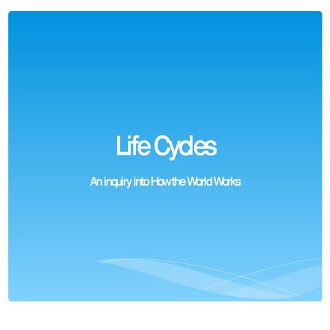 Life Cycles Presentation | PPT