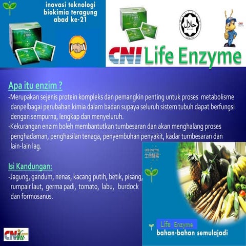 Life Enzyme | PDF