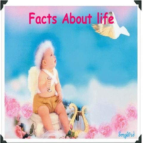 Life facts | PPT