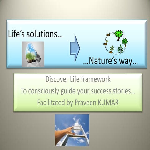 Life framework | PPT
