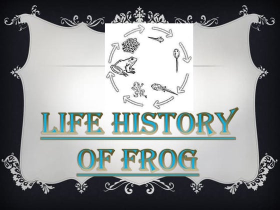The Life cycle of frog | PPT