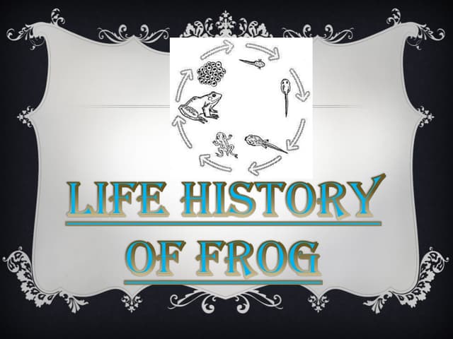 The Life cycle of frog | PPT