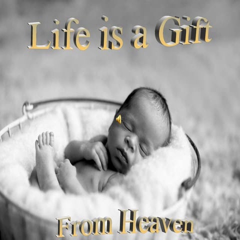 Life is a Gift | ODP