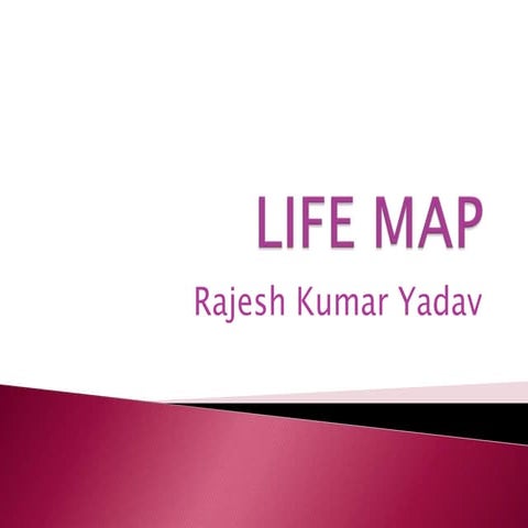 Life map | PPTX