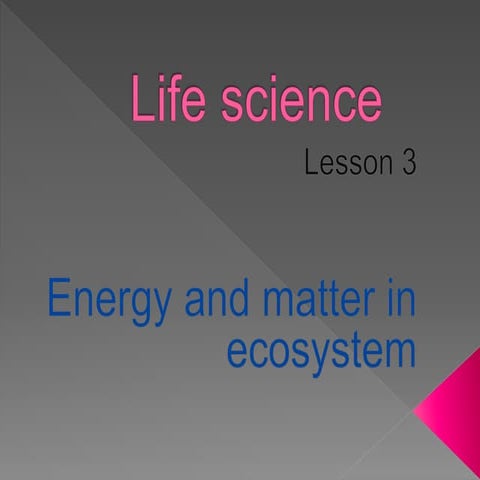 energy and matter in ecosystem | PPTX