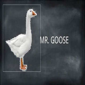 LIFE OF A GOOSE (life lesson that you can learn about goose's life) | PPT