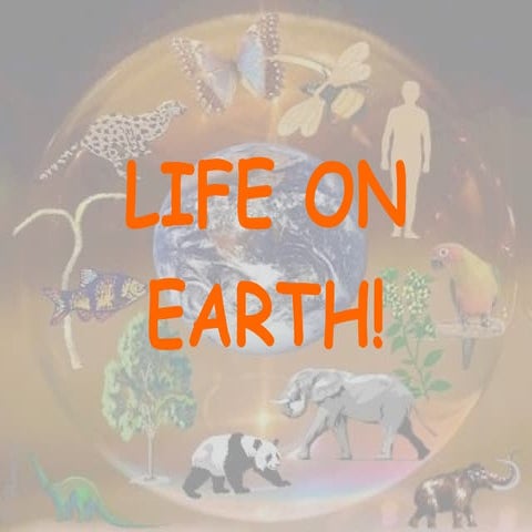 Living-Creatures-Exploring-Their-Characteristics.pdf 6th class science ...