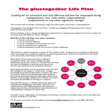 Life Plan Flyer | PDF