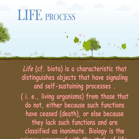Life process | PPT