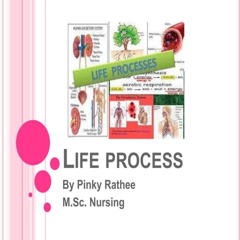 Life process | PPTX