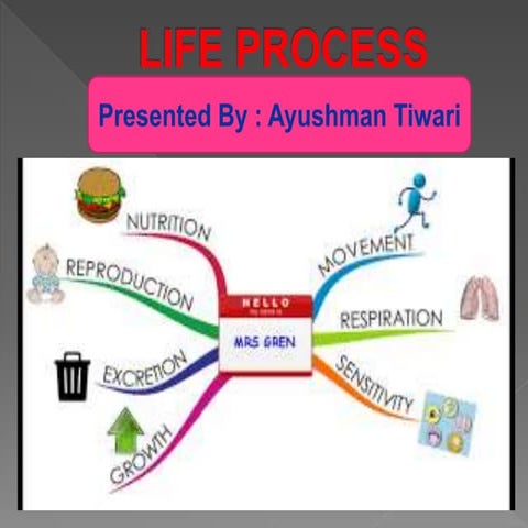 Life Processes Class 10th PPT | PPTX
