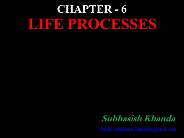 Life Processes Class 10th PPT | PPTX
