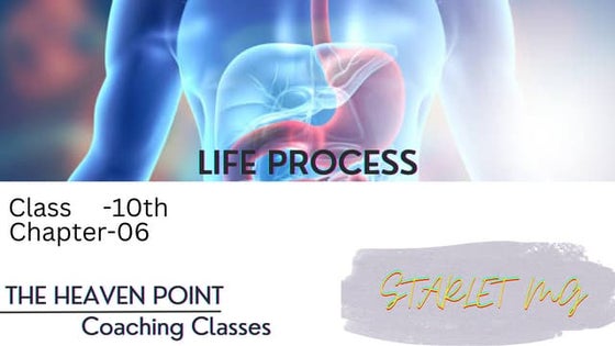 life process (1).pdf