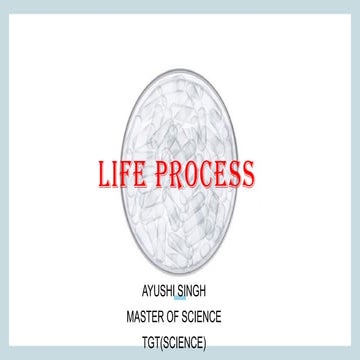 Life process Class10 Chapter 1 Biology Notes | PPTX