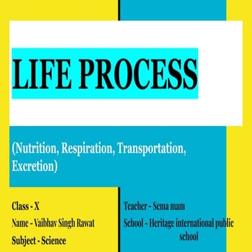 LIFE PROCESS ppt h visits hhssmvyuev3bww.pdf
