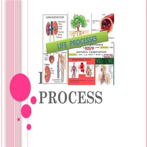 LIFE PROCESS FOR MSC NURSING STUDENTS.pptx