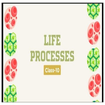 life process-respiration.pptx part of life process | PPTX