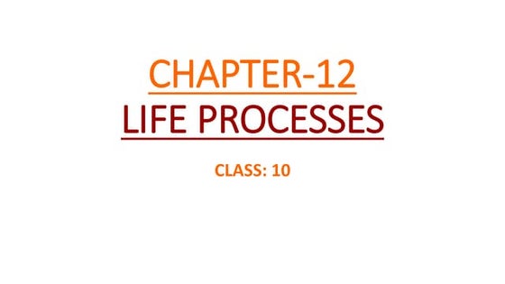 Chapter - 1, Nutrition in Plants, Science, Class 7 | PPT